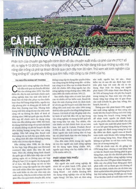 CV Nguyen Hoang My Phuong | PDF