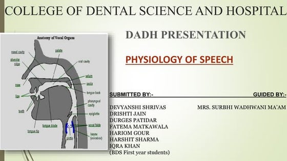 Anatomy of speech production | PPTX