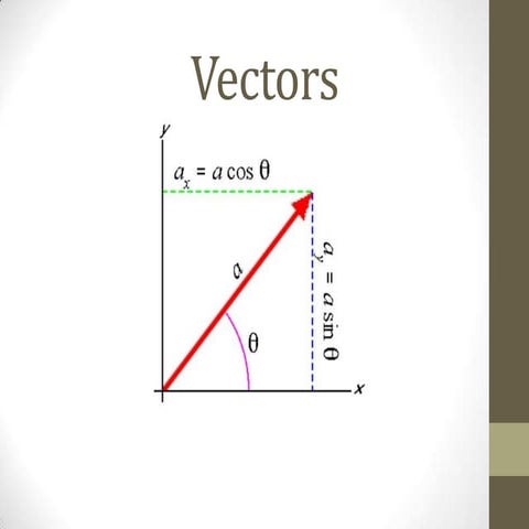 Phy2 001 vectors | PPT