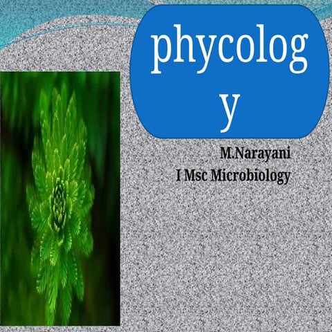 phycology.pptx............................ | PPTX