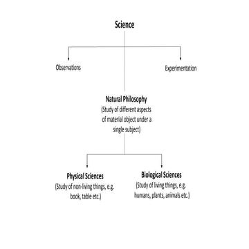 3. importance of physics | PPTX