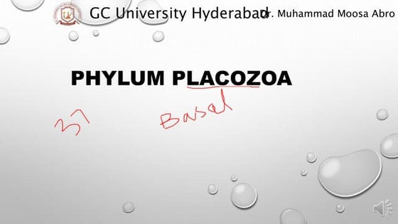 Phylum Mesozoa.pptx | Biological Sciences | Science