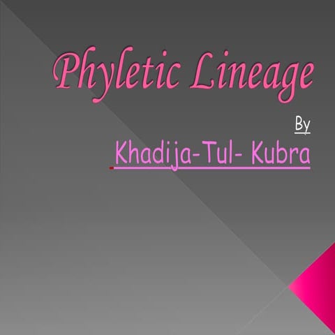 Phyletic lineage | PPTX