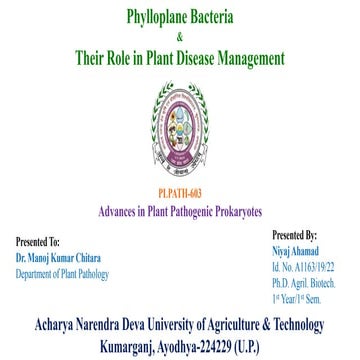 Role of Phylloplane Bacteria in plant disease management | PPTX ...