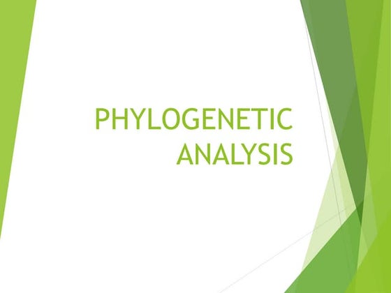 Presentation about phylogenetic tree and its construction methods. | PPTX