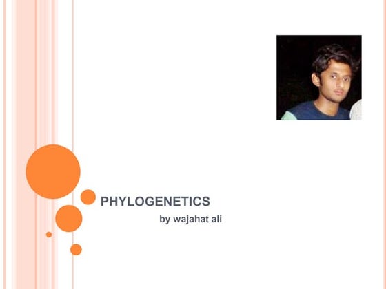 Phenetic versus phylogenetic systems | PPT