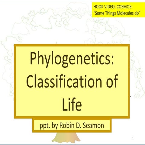 Phylogenetics: Classification Notes | PPTX