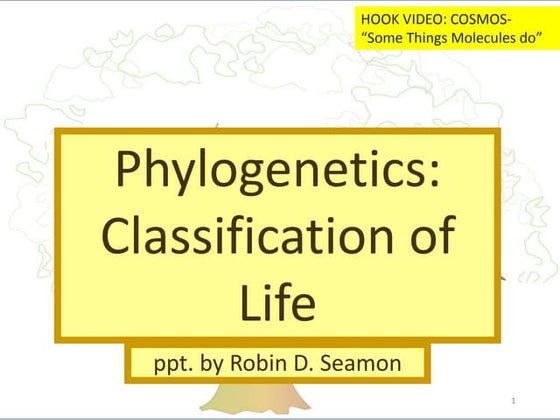 Three domain of classification | PPTX | Biological Sciences | Science