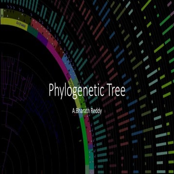 phylogenetic tree.pptx