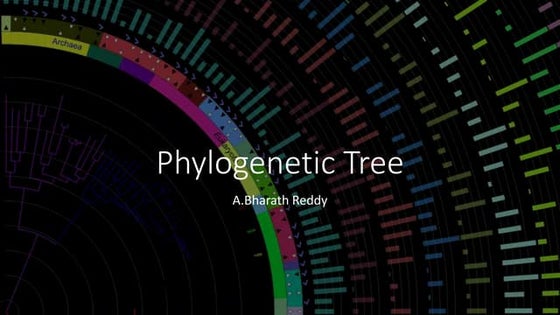 Phylogenetic Tree for the diagram description of evolutionary ...