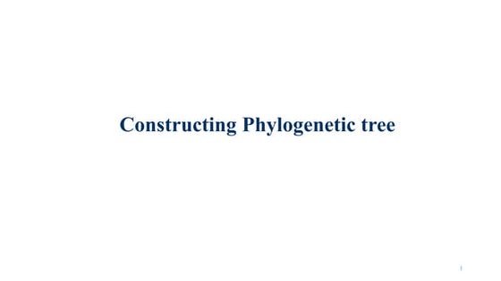 Phylogenetic tree construction step by step | PPT