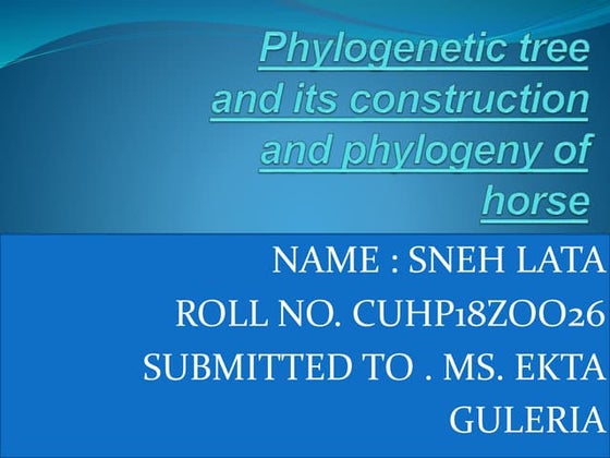 Presentation about phylogenetic tree and its construction methods. | PPT