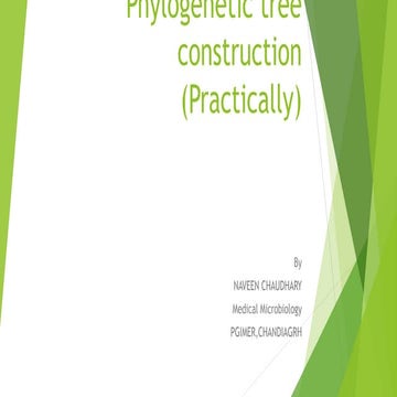Phylogenetic tree construction | PPTX