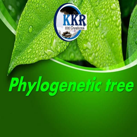 Phylogenetic tree in microbial taxonomy | PPTX