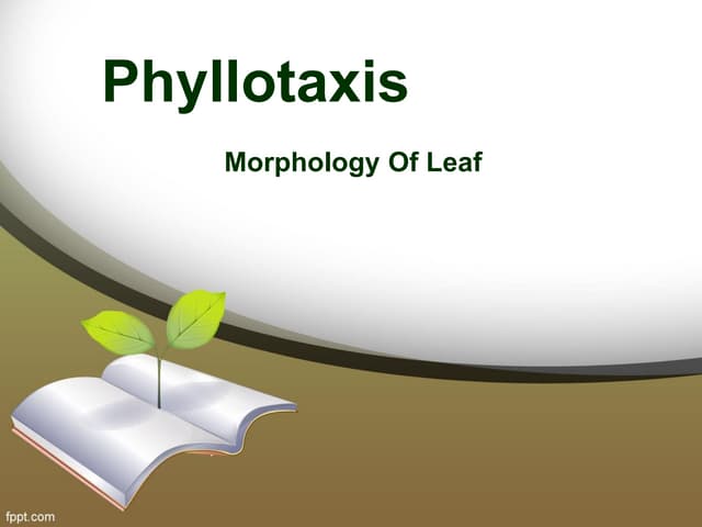 Nodal anatomy, Leaf development & Phyllotaxy | PPTX