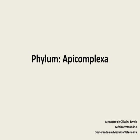 Phylum apicomplexa | PDF