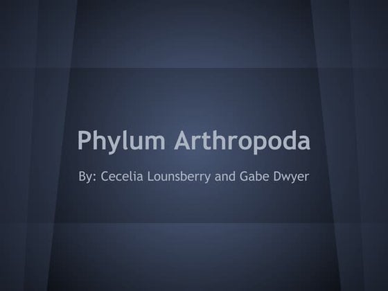 Phylum arthropoda | PPT