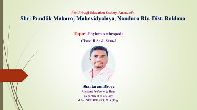 Cockroach Class 11th NEET CBSE NCERT Biology | PDF