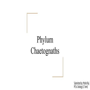 Flatworms, roundworms, segmented worms | PPTX