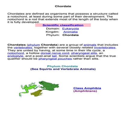 Phylum chordata | DOC