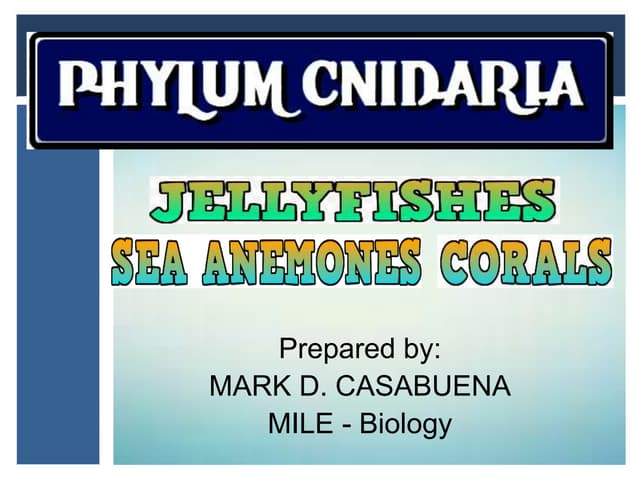 The integumentary system of invertebrates | PPTX