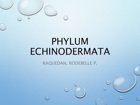 External part of Body (oral & ab oral Surface) , Pedicellaria & water ...