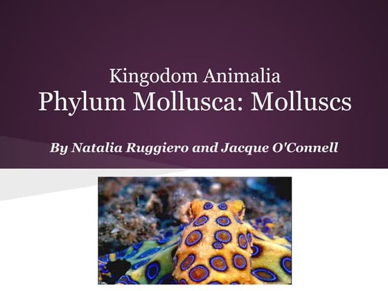 Mollusca Presentation | PPT | Lung and Respiratory Health | Diseases ...