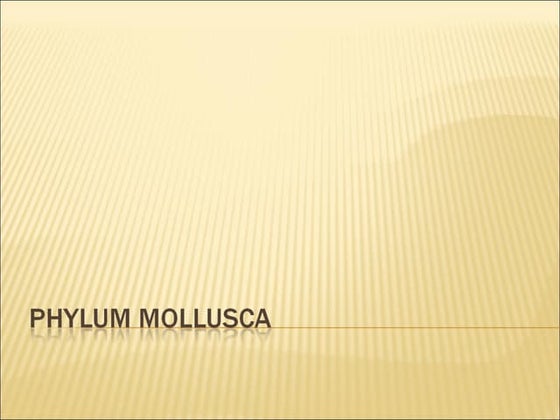 Mollusca Presentation | PPT | Lung and Respiratory Health | Diseases ...