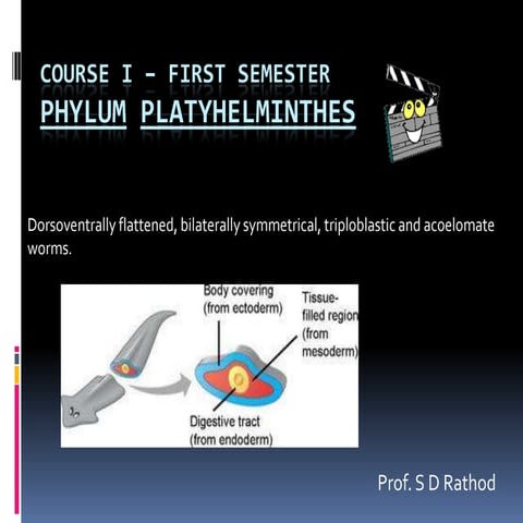 Phylum Platyhelminthes and Nematodes | PPTX