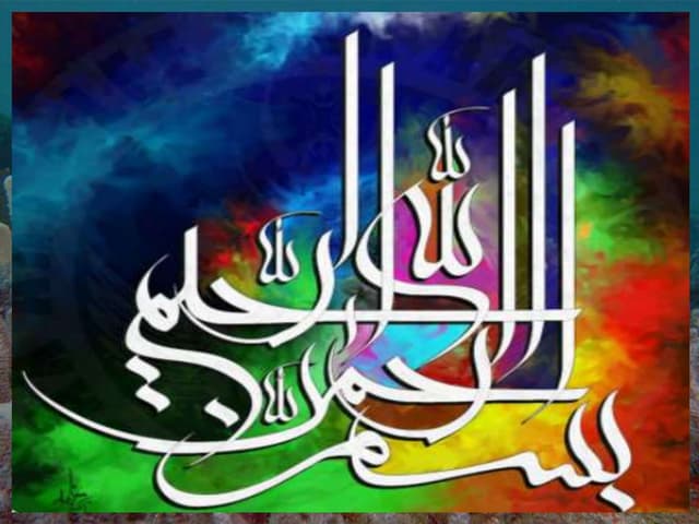 Phylum Porifera - Sycon | PPTX