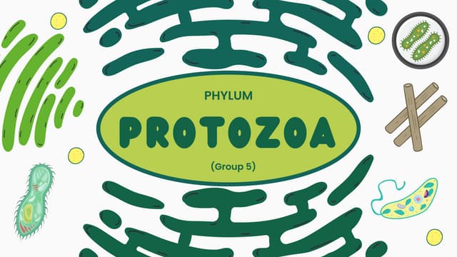 Protozoa | PPT