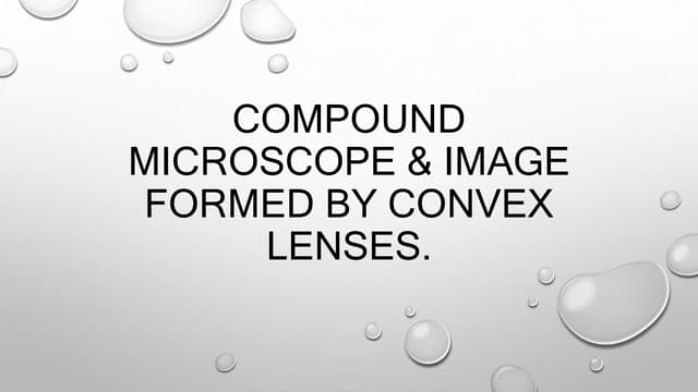 Compound microscope | PPT
