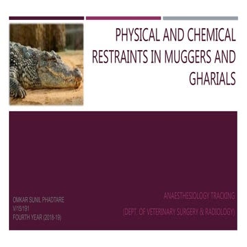 Physical and Chemical Restraints in Alligators and Gharials | PPTX
