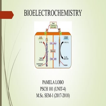 Physical bioelectrochem presentation pamela | PPTX