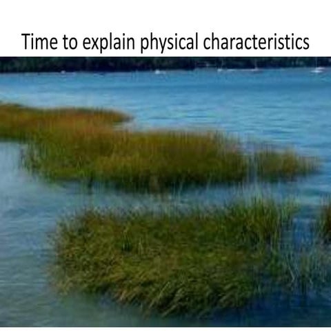 Human characteristics | PPT