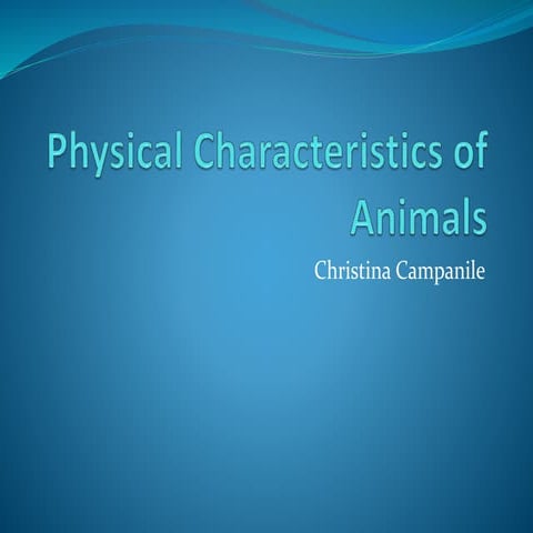 Physical characteristics of animals | PPTX