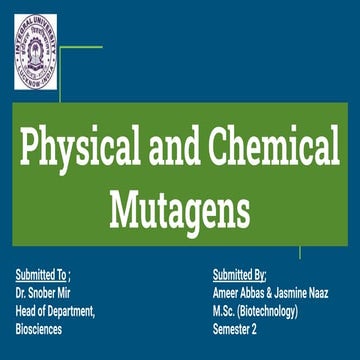 Physical & Chemical Mutagen (BS415).pdf