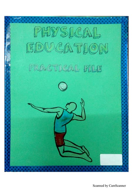 Phyical Education Project Class 12 CBSE on Volleyball | DOCX