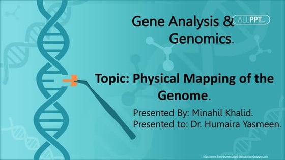 Genomic in situ Hybridization | PPT