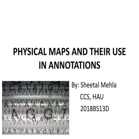 Physical maps and their use in annotations | PPTX