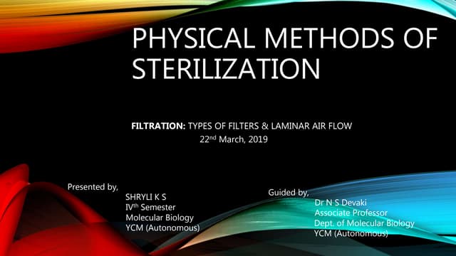 Phylum Porifera - Sycon | PPTX