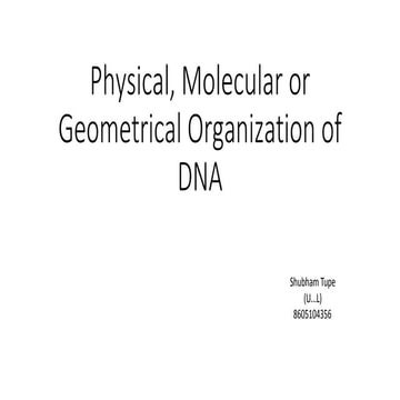 Physical, molecular or geometrical organisation of dna | PPTX