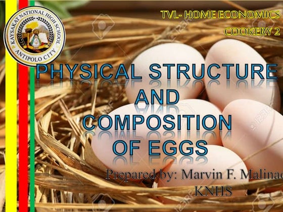 Egg composition.pptx