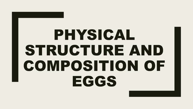 Lesson 6 Physical Structure and Composition of Egg | PPTX
