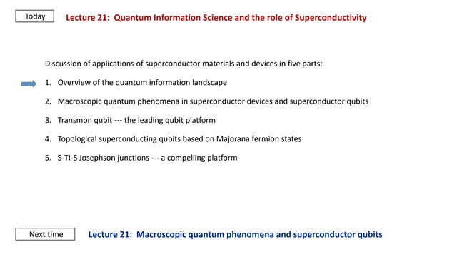 "Exploring Quantum Perception and Advanced Quantum Computing Techniques" | PDF