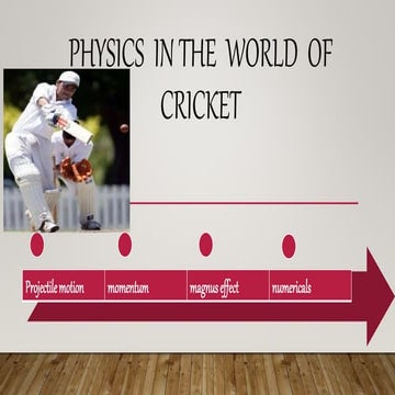 physicsintheworldofcricket-180416040845.pdf