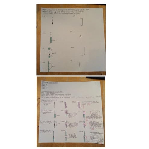 Physics learning object 2 | PDF