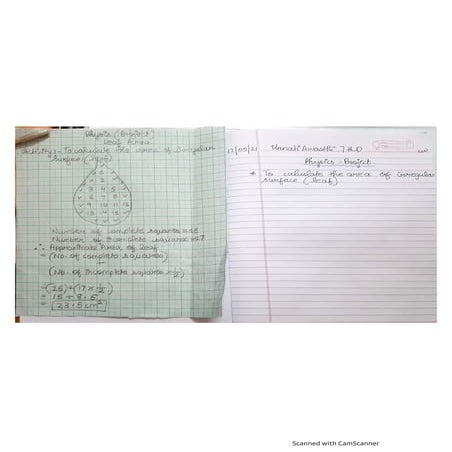 Physics project | PDF