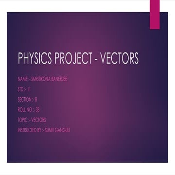 PHYSICS PROJECT - VECTORS project 2.pptx