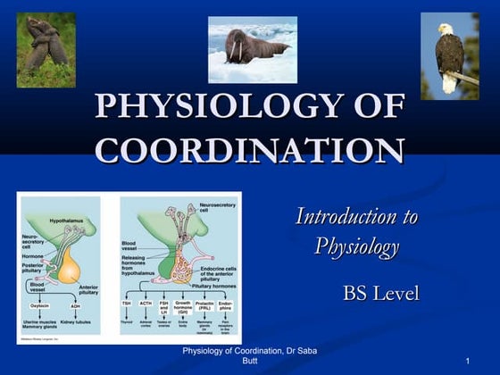 Mice as an experimental animal | PPTX | Biological Sciences | Science
